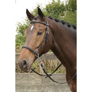 Bridles and accessories | Horse - Harry's Horse