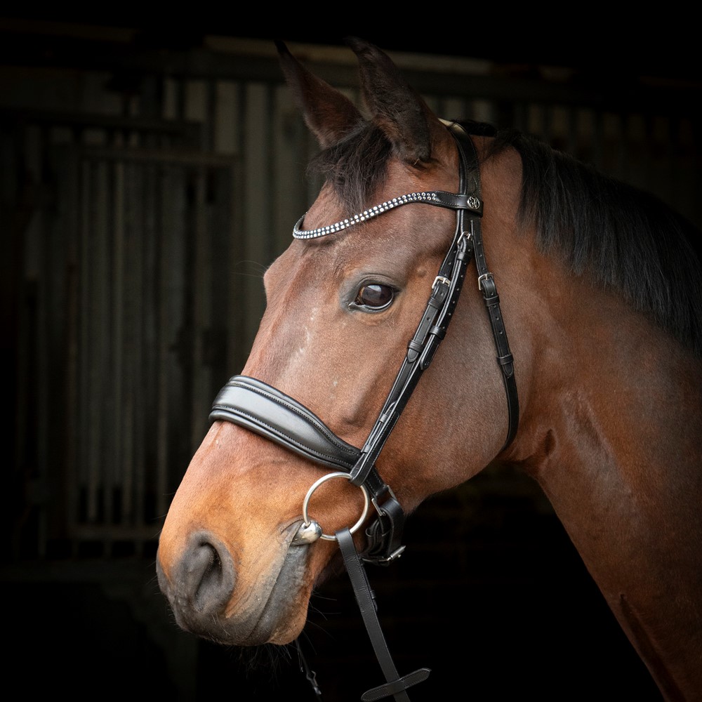 Bridle Liberty Soft - 28000070 - Harry's Horse