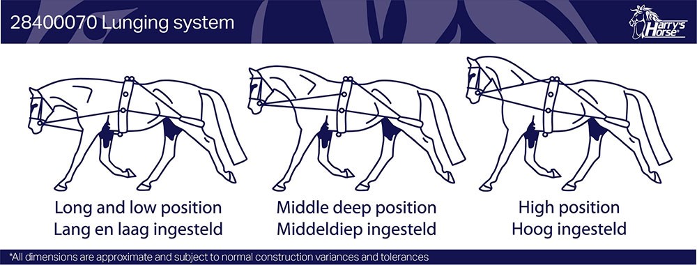 Lunging system - 28400070 - Harry's Horse