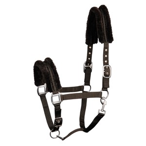 Halsters | Paard - Harry's Horse